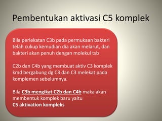 Sistem komplemen immunologi | PPTX