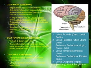 Sistem koordinasi | PPTX