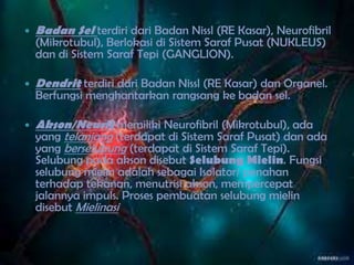 Sistem koordinasi | PPTX