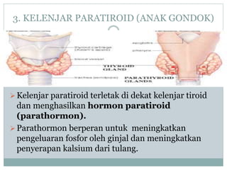 Sistem koordinasi pada Manusia | PPTX