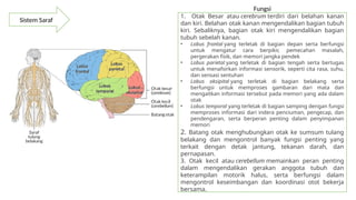 sistem koordinasi pada tubuh makhluk hidup | PPTX