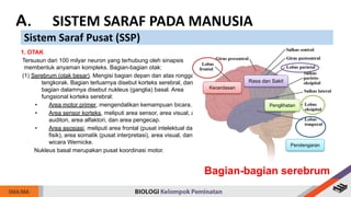 SISTEM KOORDINASI-SARAF BIOLOGI SMA. pdf | PDF