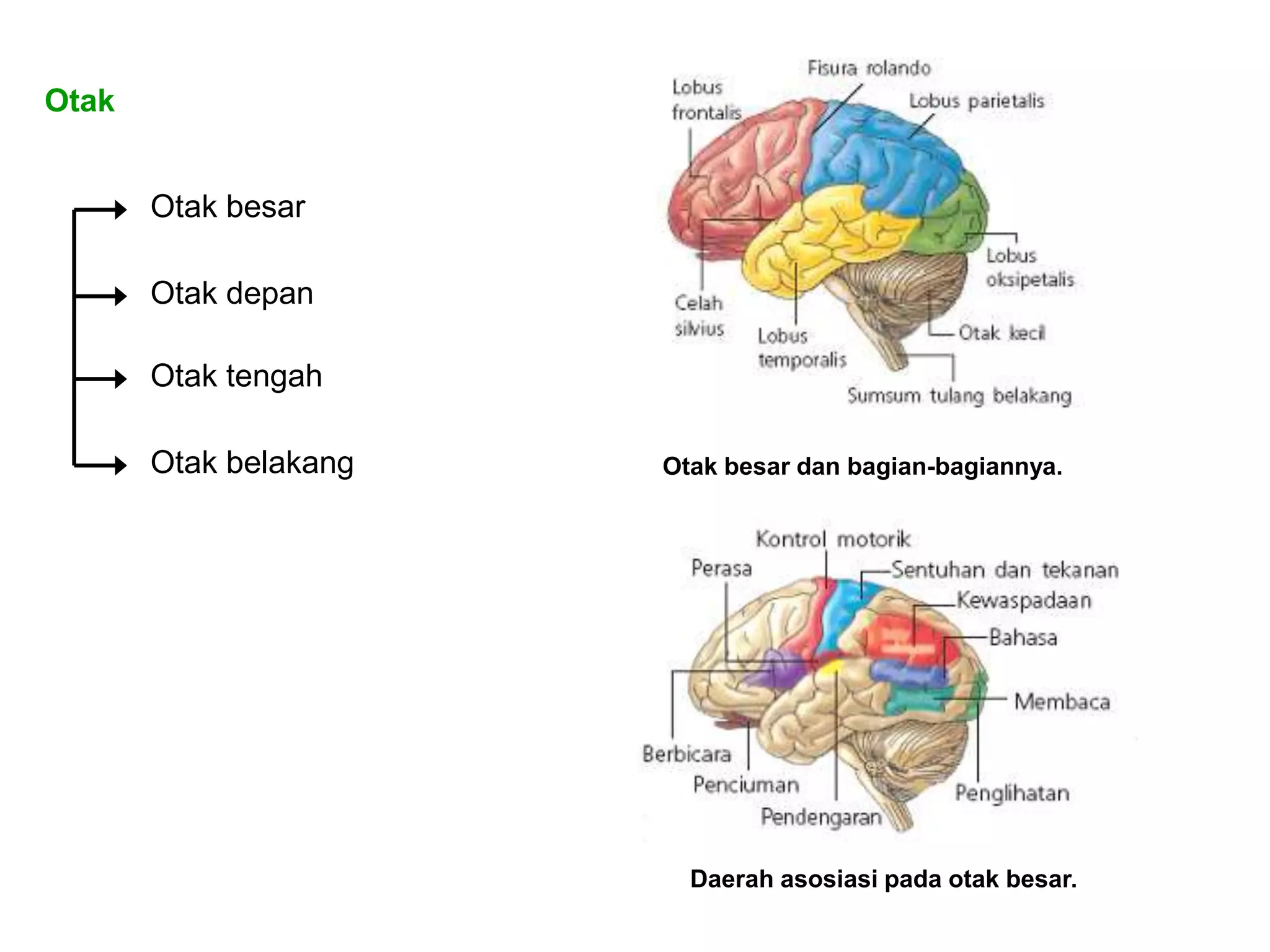 SISTEM KOORDINASI 1B.ppt