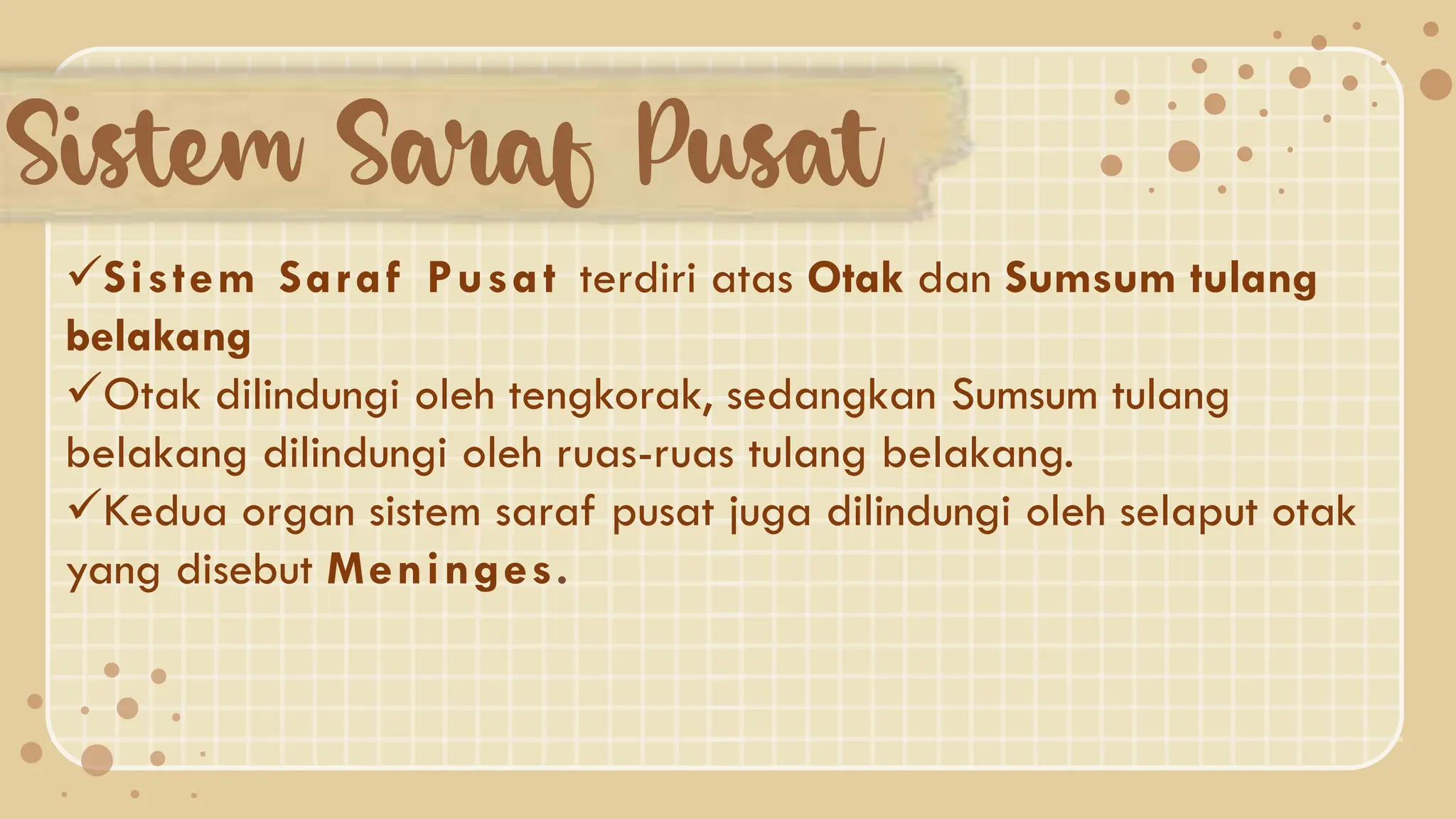Sistem koordinasi pada manusia sistem saraf pusat dan sistem saraf tepi ...