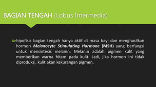 Sistem koordinasi 2 (hormon) | PPTX