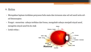 Sistem koordinasi (indra mata dan telinga) | PPTX
