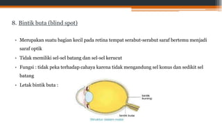 Sistem koordinasi (indra mata dan telinga) | PPTX