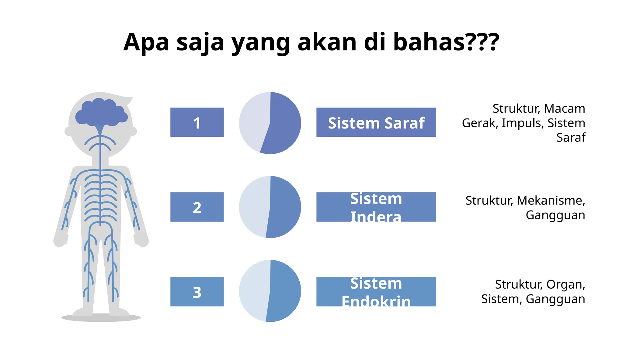 Sistem Kordinasi materi kelas xi biologi | PPTX