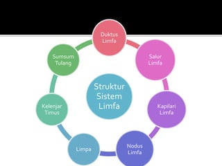 Sistem limfa | PPTX