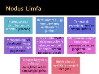 Sistem limfa | PPTX