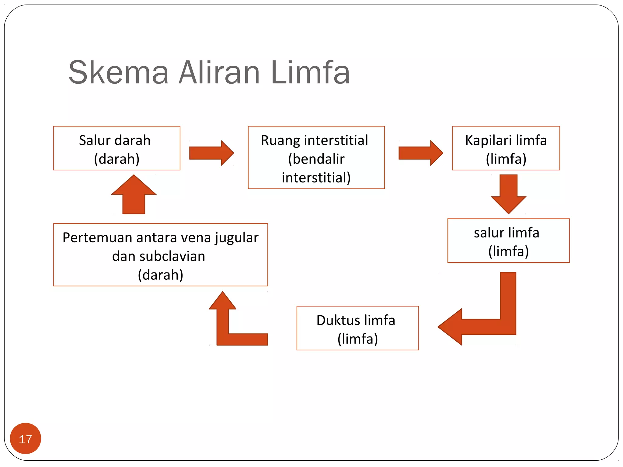 Sistem limfa | PPT