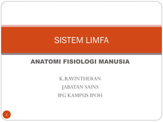 Sistem limfa | PPT