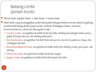 Sistem limfa | PPT