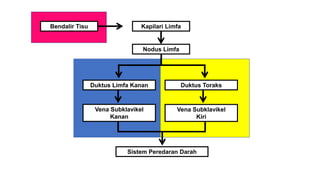 Sistem Limfa.pptx