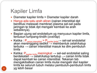 SISTEM_LIMFA_edit.ppt