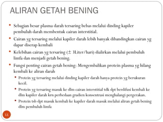 sistem limfa dan struktur kapiler pada limfa | PPT