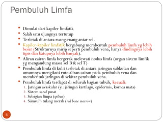 sistem limfa dan struktur kapiler pada limfa | PPT