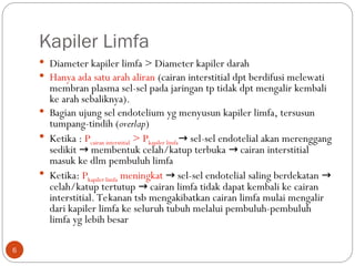 sistem limfa dan struktur kapiler pada limfa | PPT