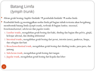 sistem limfa dan struktur kapiler pada limfa | PPT