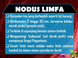 Sistem Limfatik dan Imuniti | PPTX