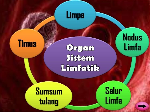 Sistem Limfatik dan Imuniti