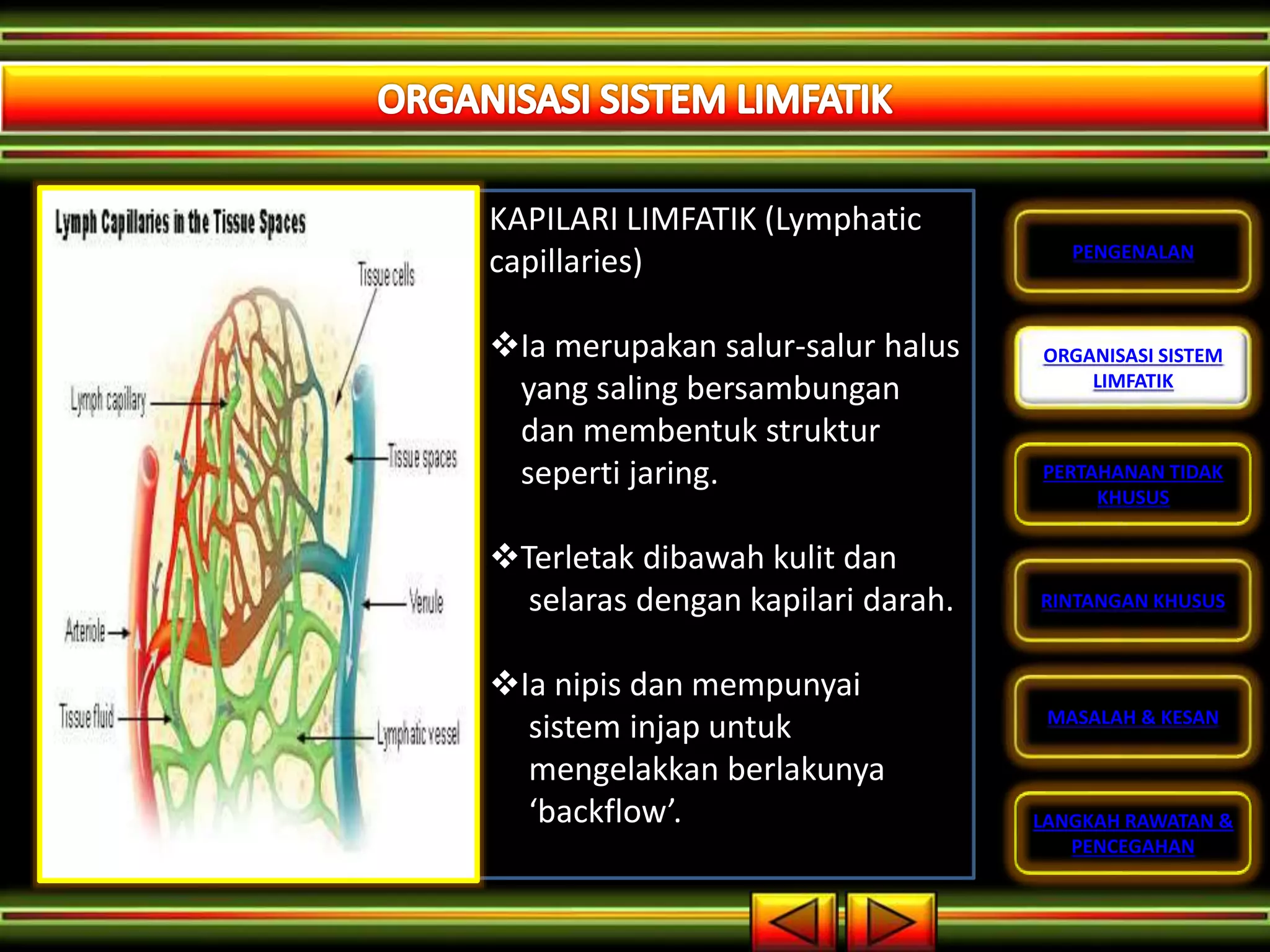 Sistem limfatik & imuniti | PPTX