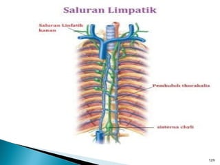 Sistem limfatik jadi | PPT