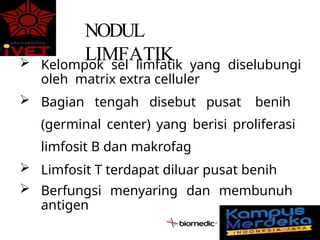 sistem limfatik pada manusia dan penjelasannya | PPTX