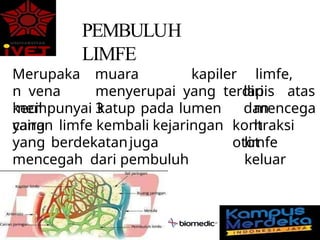 sistem limfatik pada manusia dan penjelasannya | PPTX
