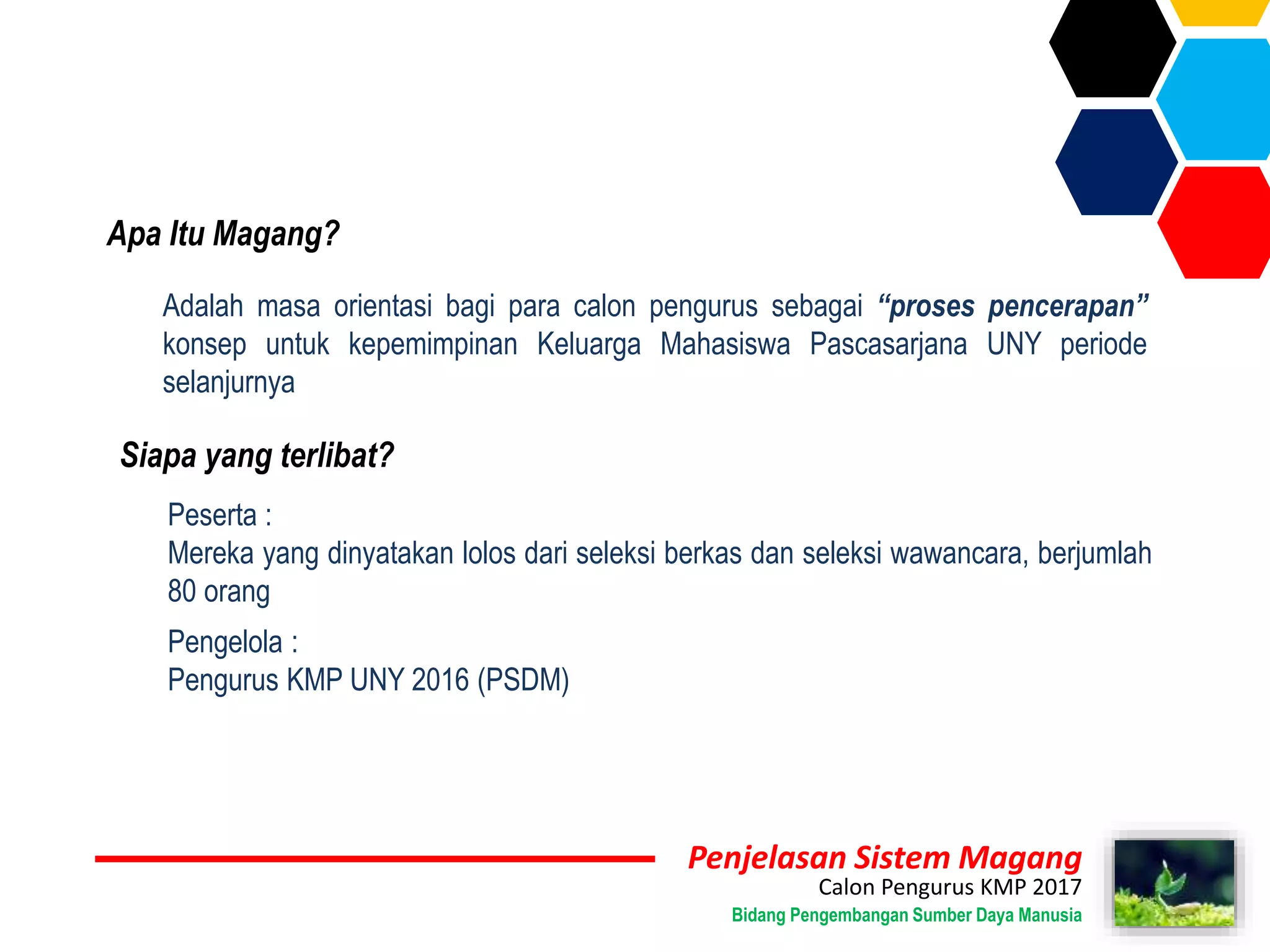Sistem magang | PPTX