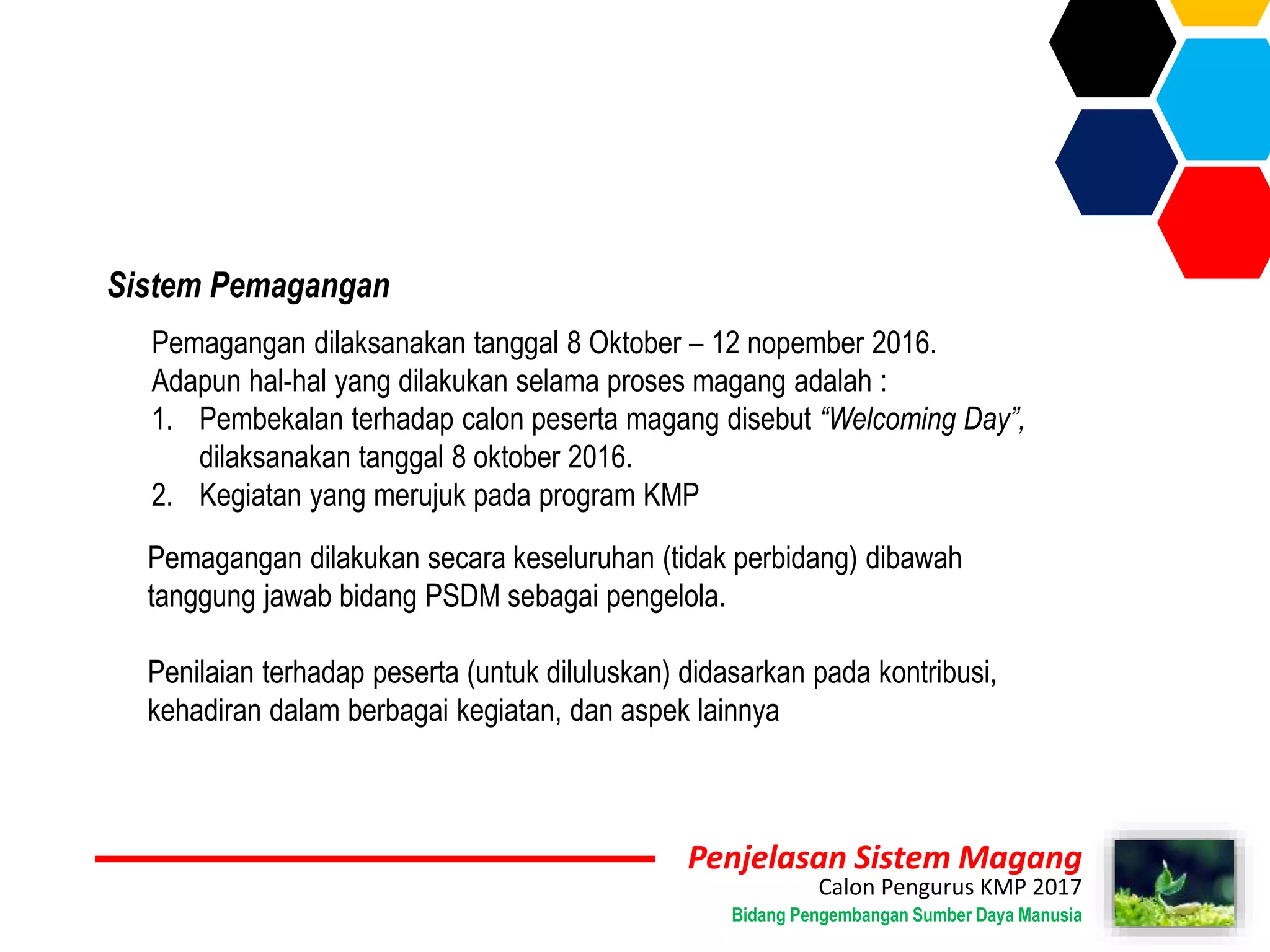 Sistem magang | PPTX