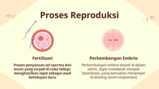Sistem Manusia Presentasi Merah Muda dan Kuning Ilustrasi.pptx