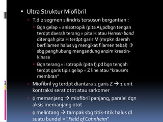 Sistem Musculoskeletal Reguler lengkap oleh Herianto.ppt