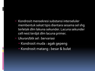 Sistem Musculoskeletal Reguler lengkap oleh Herianto.ppt