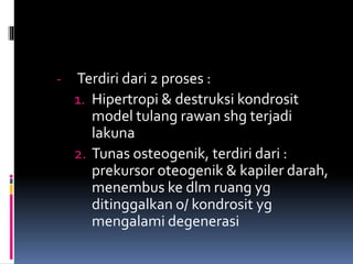Sistem Musculoskeletal Reguler lengkap oleh Herianto.ppt