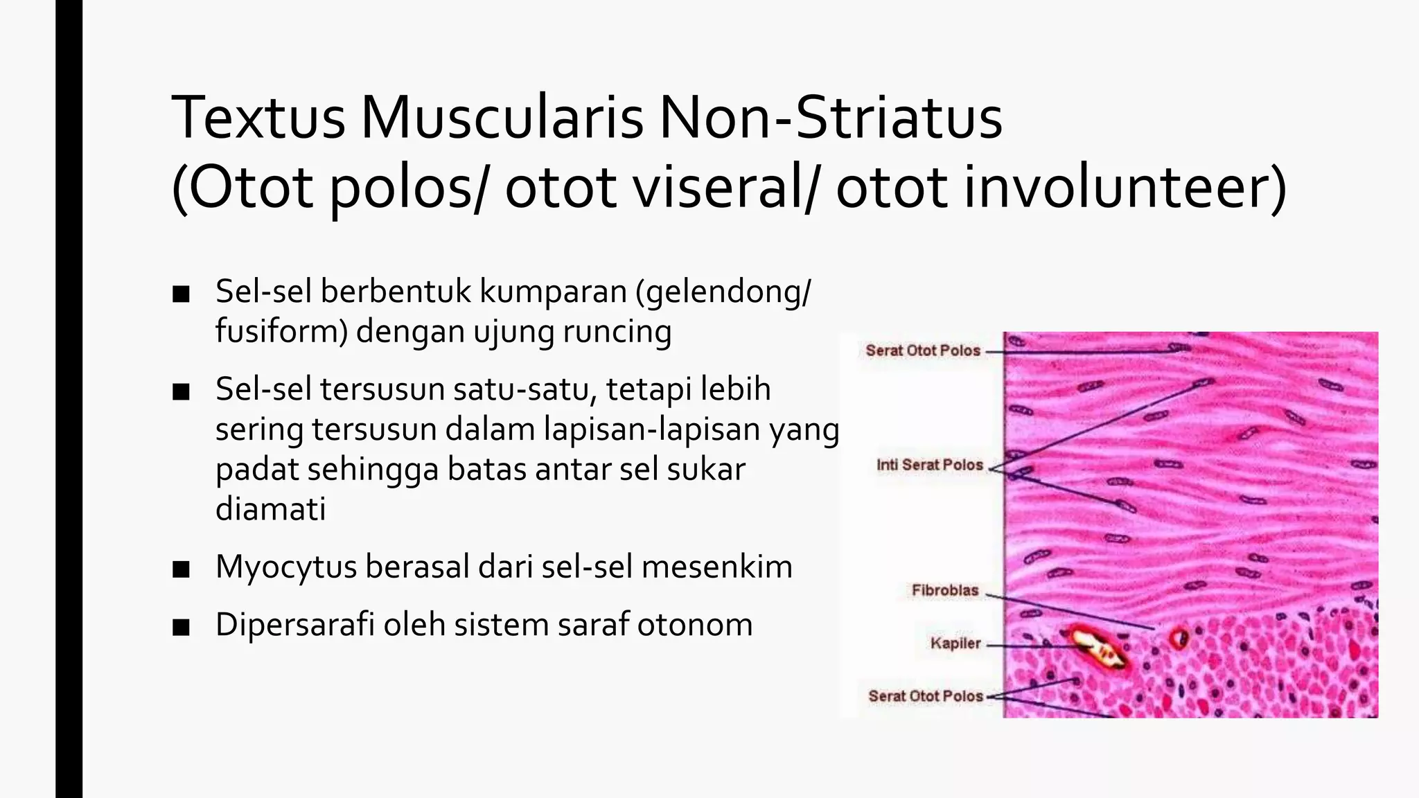 Histologi Sistem Muskular - Histology Muscular System | PPTX