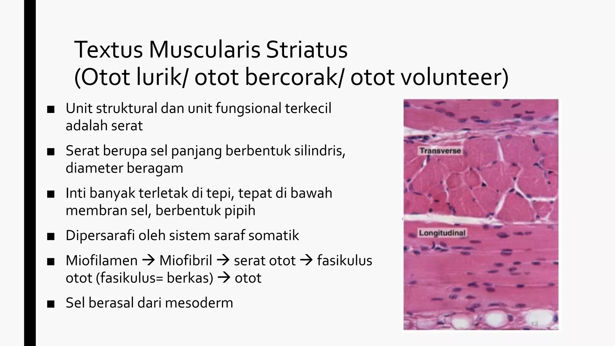 Histologi Sistem Muskular - Histology Muscular System | PPTX