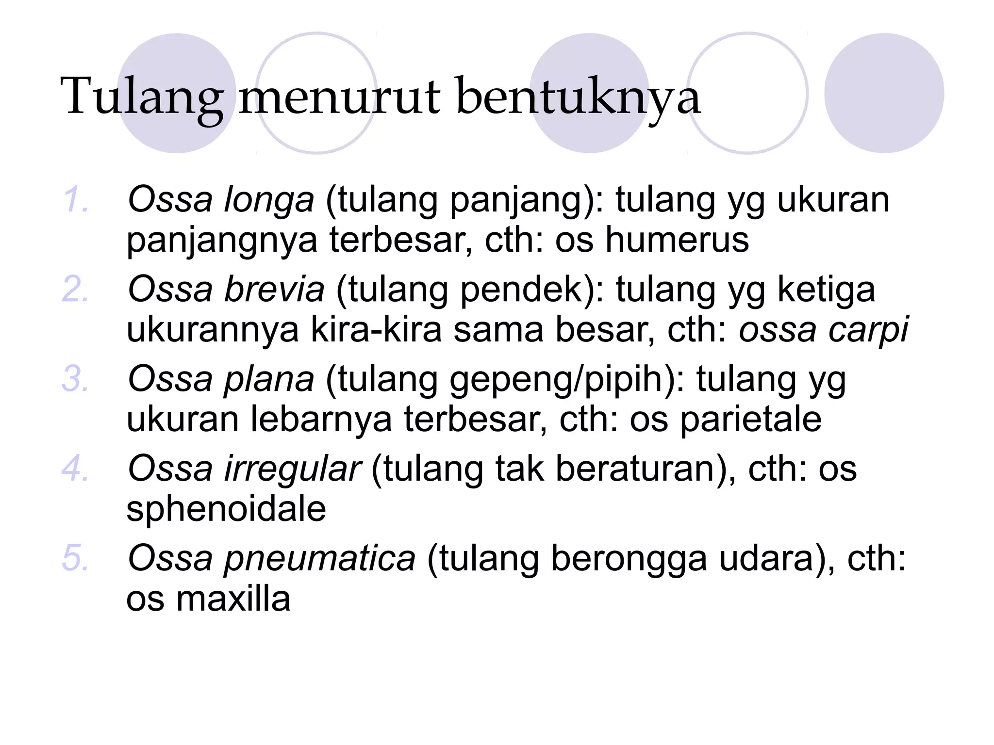 Sistem Muskuloskeletal | PPT