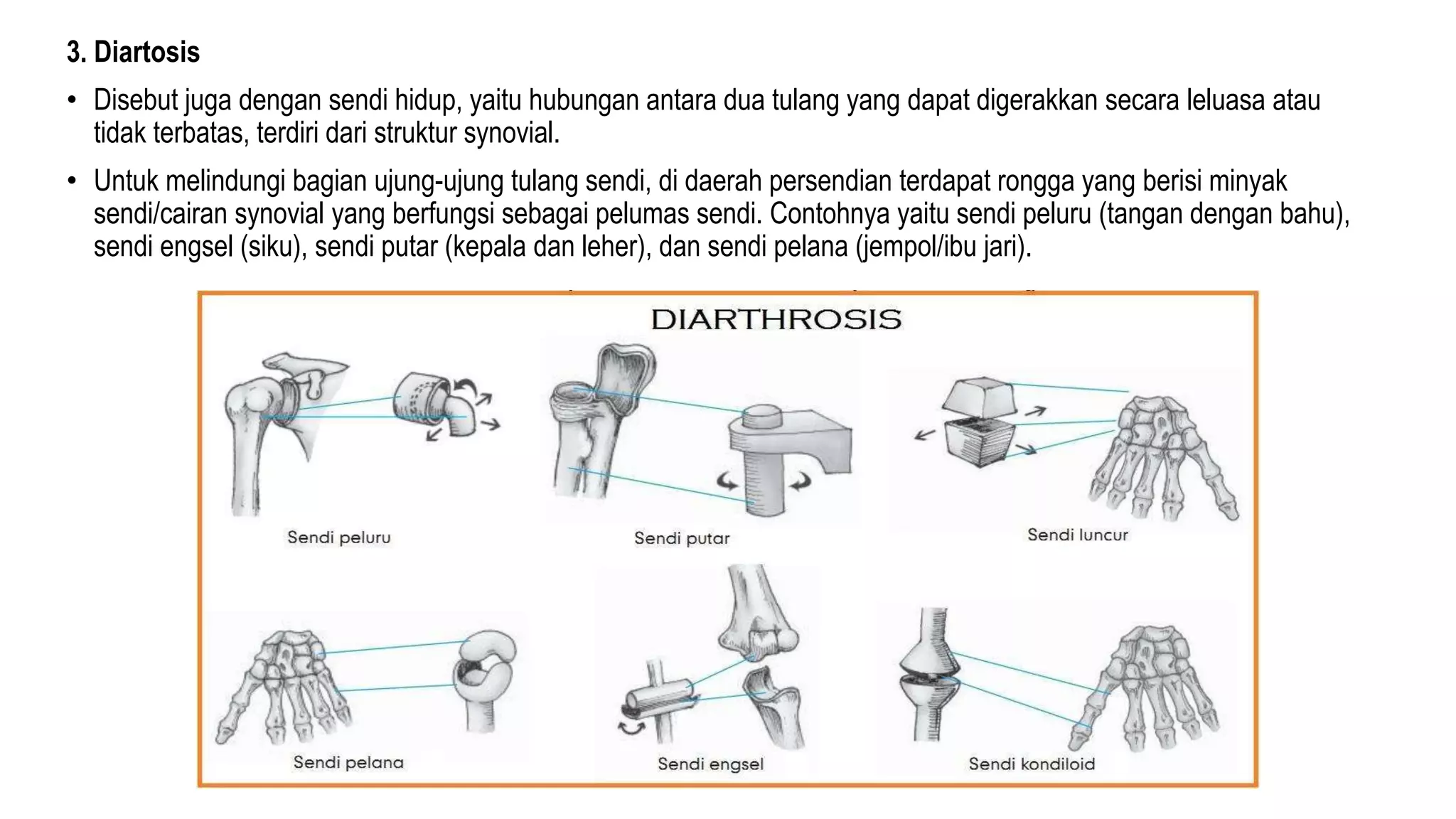 Sistem MUSKULOSKELETAL.pptx