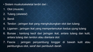 Sistem Muskuloskeletal.pptx
