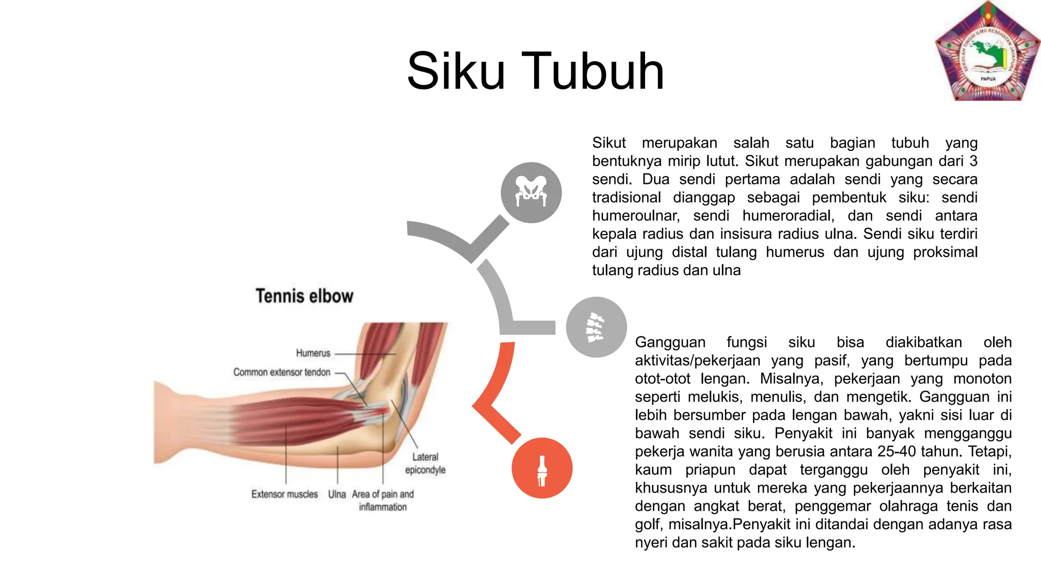 SISTEM MUSKULOSKELETAL pada tubuh manusia.pptx