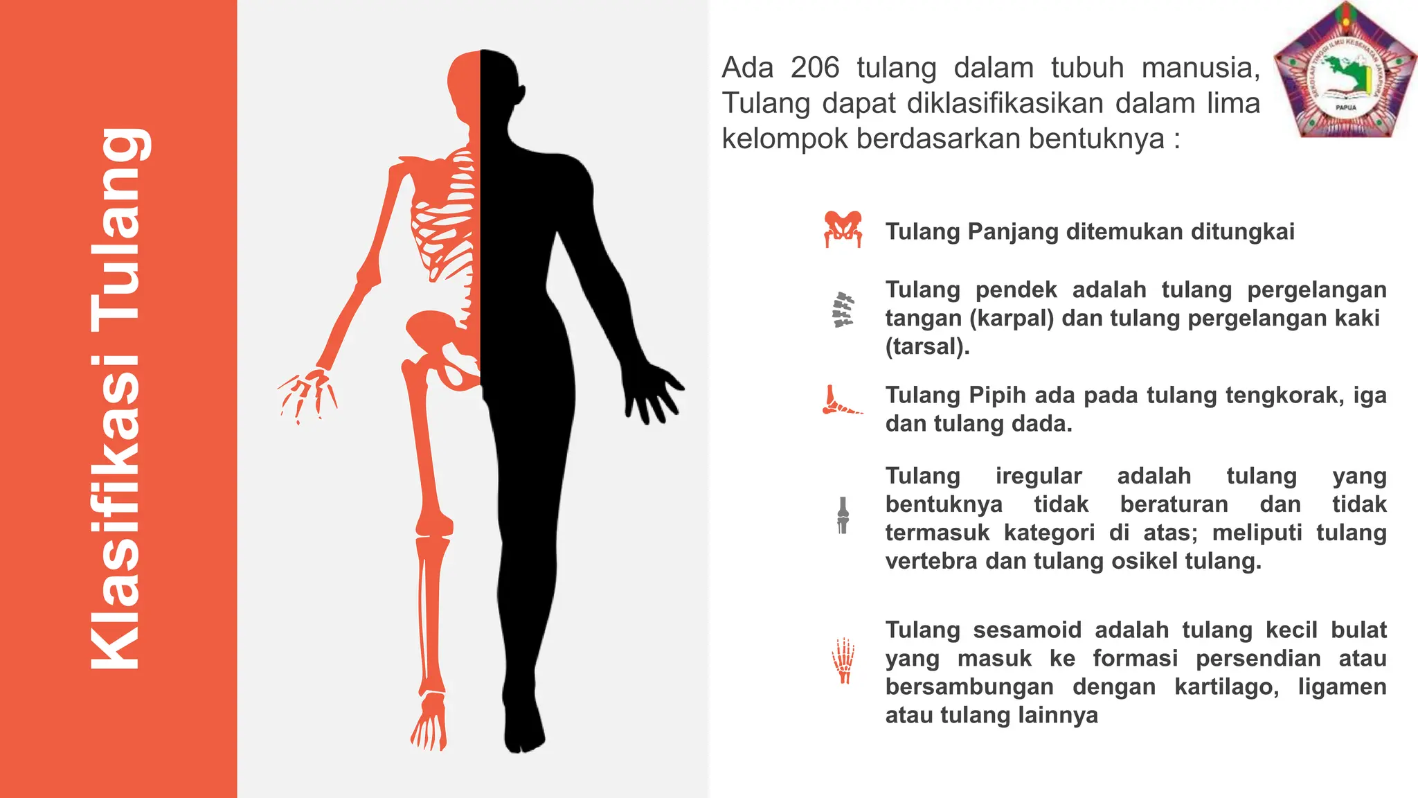 SISTEM MUSKULOSKELETAL pada tubuh manusia.pptx