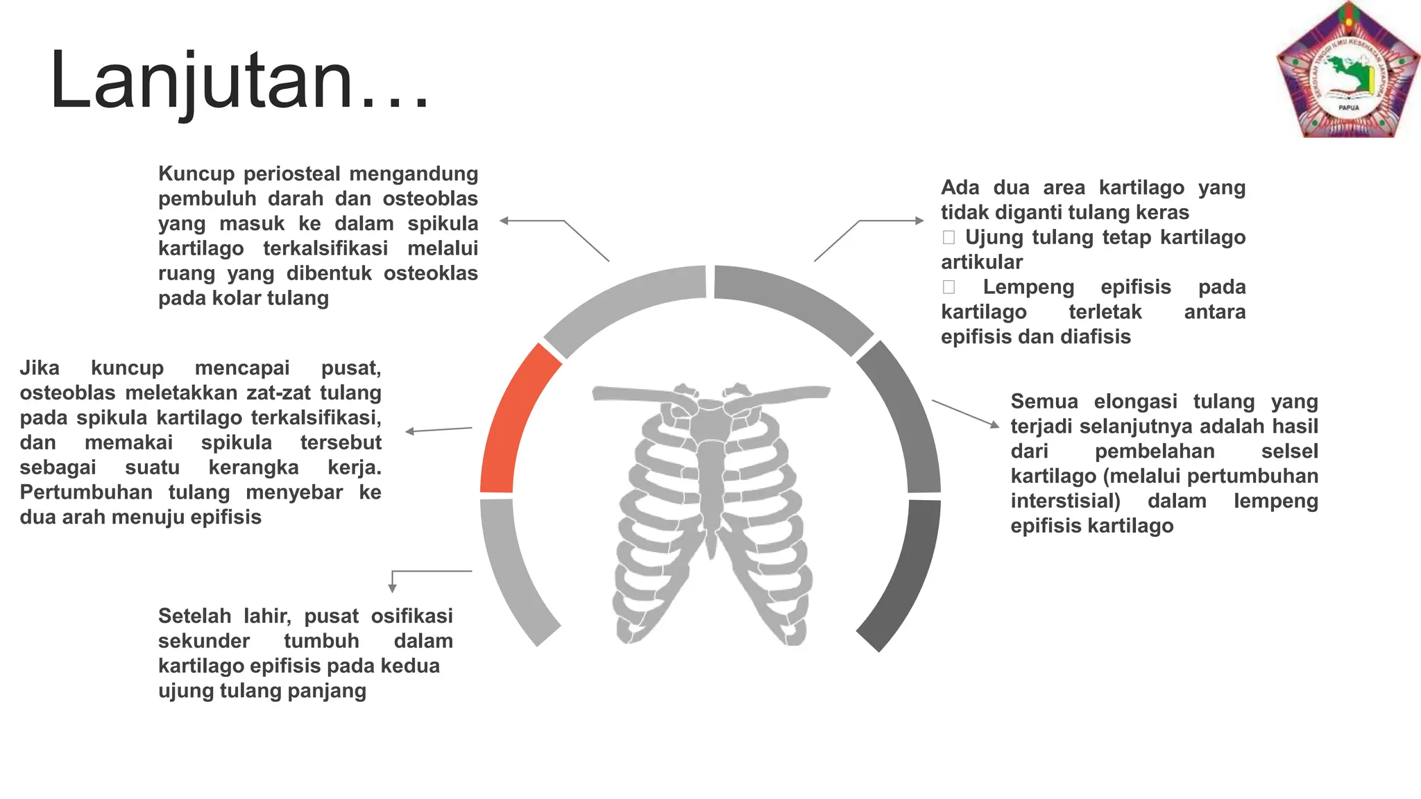 SISTEM MUSKULOSKELETAL pada tubuh manusia.pptx