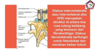 SISTEM MUSKULOSKELETAL pada tubuh manusia.pptx