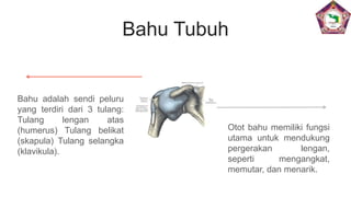 SISTEM MUSKULOSKELETAL pada tubuh manusia.pptx