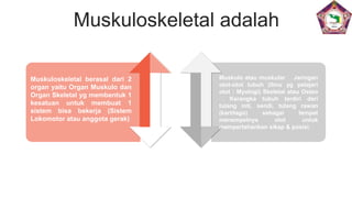 SISTEM MUSKULOSKELETAL pada tubuh manusia.pptx