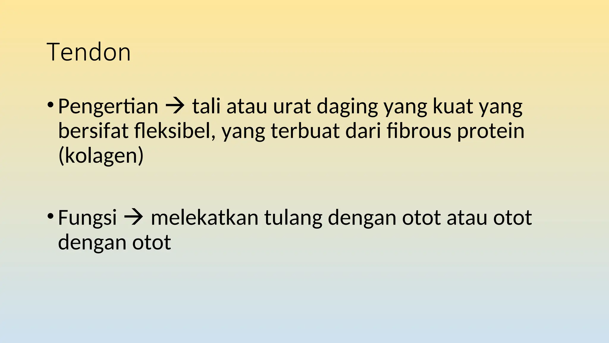 Anatomi Muskoloskeletal Fisiologi Manusia | PPT