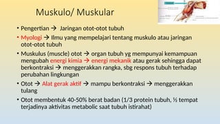 Anatomi Muskoloskeletal Fisiologi Manusia | PPT