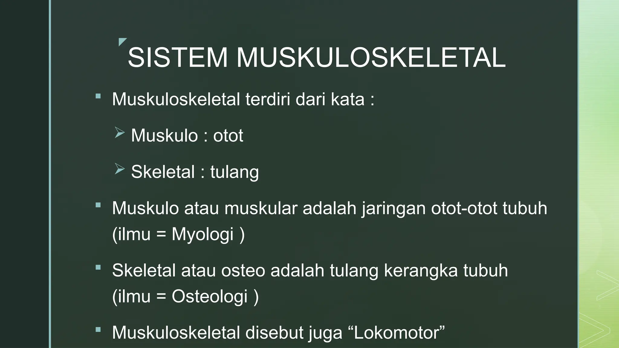 SISTEM MUSKULOSKELETAL pada matakuliah IBK .pptx