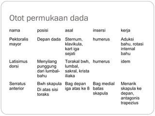 sistemmuskuloskeletalfull-160328035111.pdf